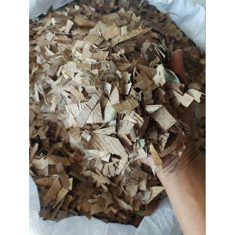 Jual Media Tanam Daun Bambu kering Bersih Tanpa Ranting, Humus Bambu ...
