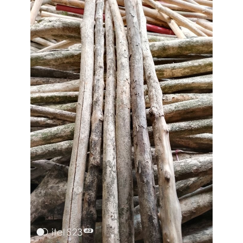 Jual Kayu bakar Kayu Kopi Kering BBQ | Shopee Indonesia