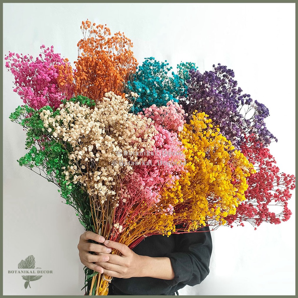 Jual Preserved Real Touch Premium Baby's Breath Gypsophila Bunga Kering ...
