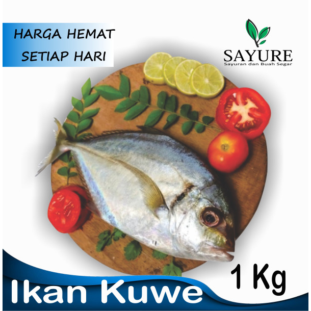 Jual IKAN KUWE SEGAR 1KG | Shopee Indonesia