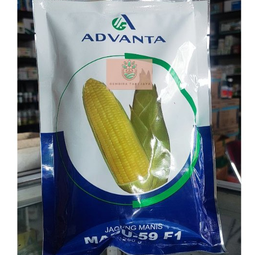 Jual Benih Jagung Manis MADU-59 F1 isi 250 G dr Advanta | Shopee Indonesia