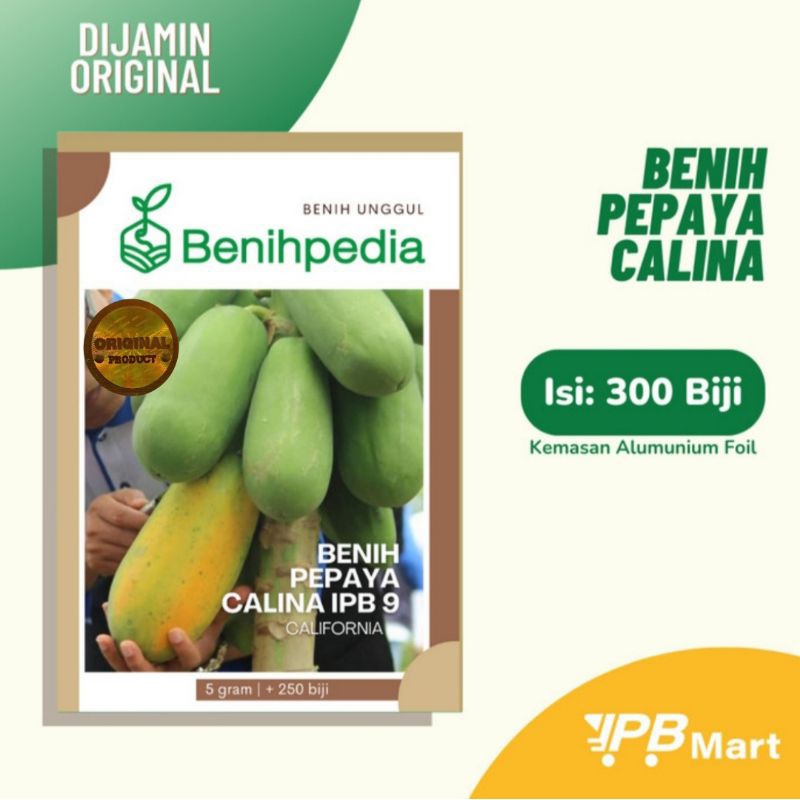 Jual Benih Pepaya Calina IPB 9 / California 5 Gram | Shopee Indonesia