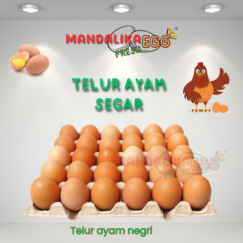 Jual Telur Ayam Negeri FRESH/ telor ayam negri per 1 tray telur ayam ...