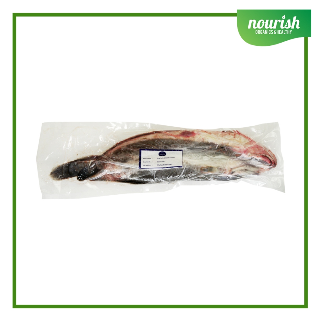 Jual Ikan Lele Frozen 500gr-Jakbar | Shopee Indonesia