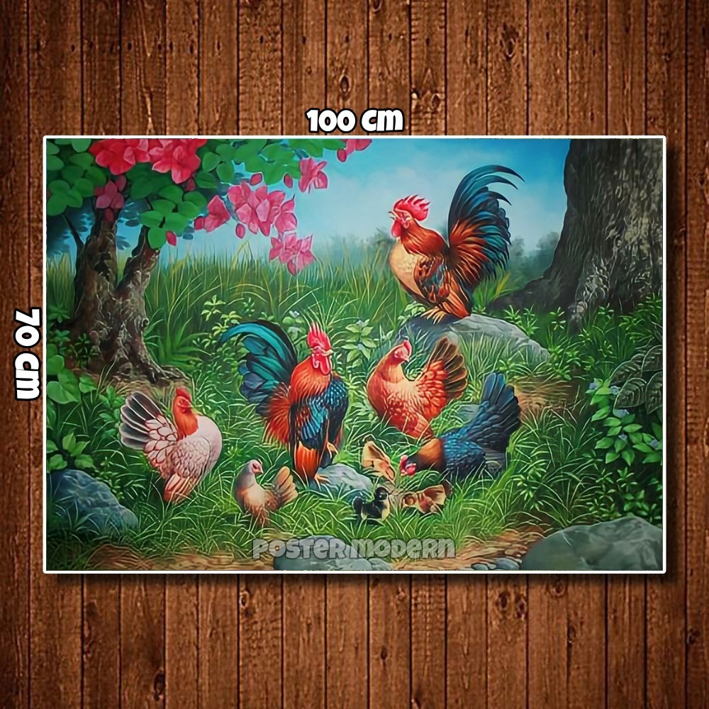 Jual HIASAN DINDING POSTER AYAM XTRA JUMBO CODE 11 100X70CM 150X100CM ...