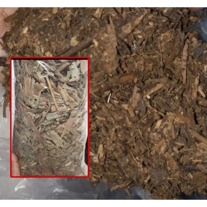 Jual Media tanam Humus Bambu | Daun Bambu Kering 1kg | Shopee Indonesia