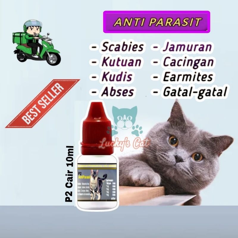 Jual Obat Kucing Anti Parasit Super P2 ( CAIR ) | Obat Jamur scabies ...