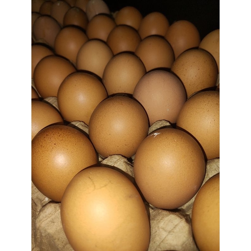 Jual Telur Ayam ras 1 kg (Khusus Instant) | Shopee Indonesia