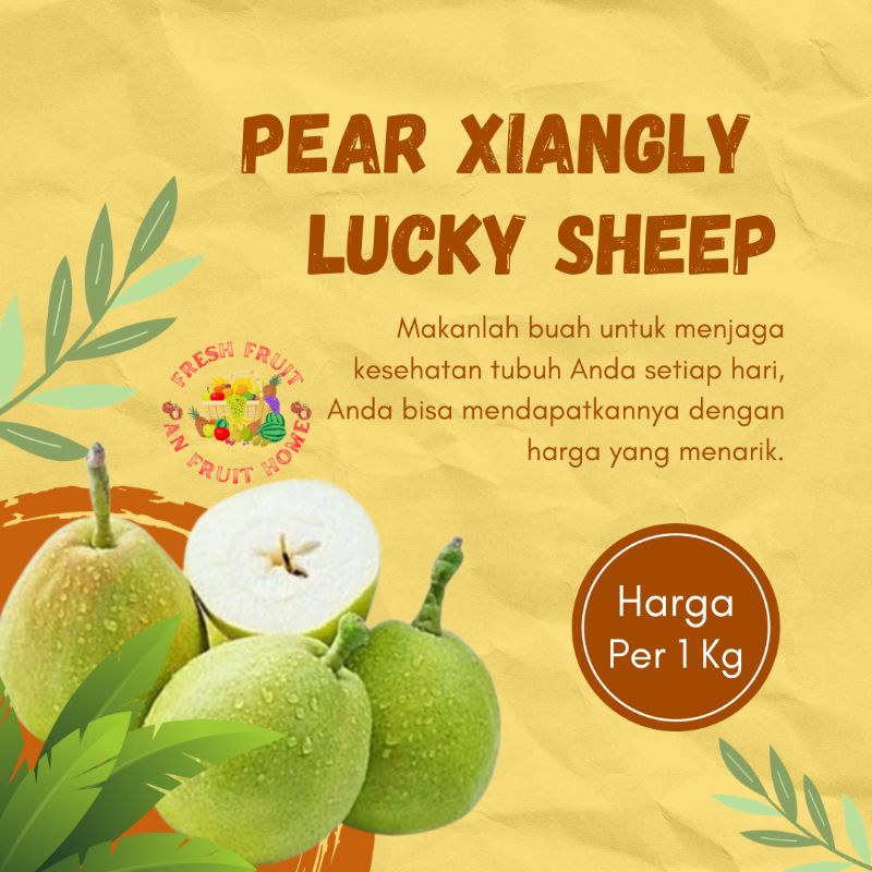 Jual Pear Xiangli Lucky Sheep 1 Kg | Shopee Indonesia