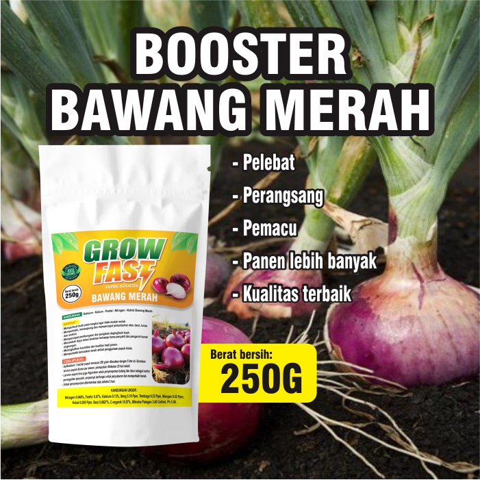Jual Pupuk Booster Bawang Merah (250gr) I pupuk organik pelebat tanaman I pupuk organik ...