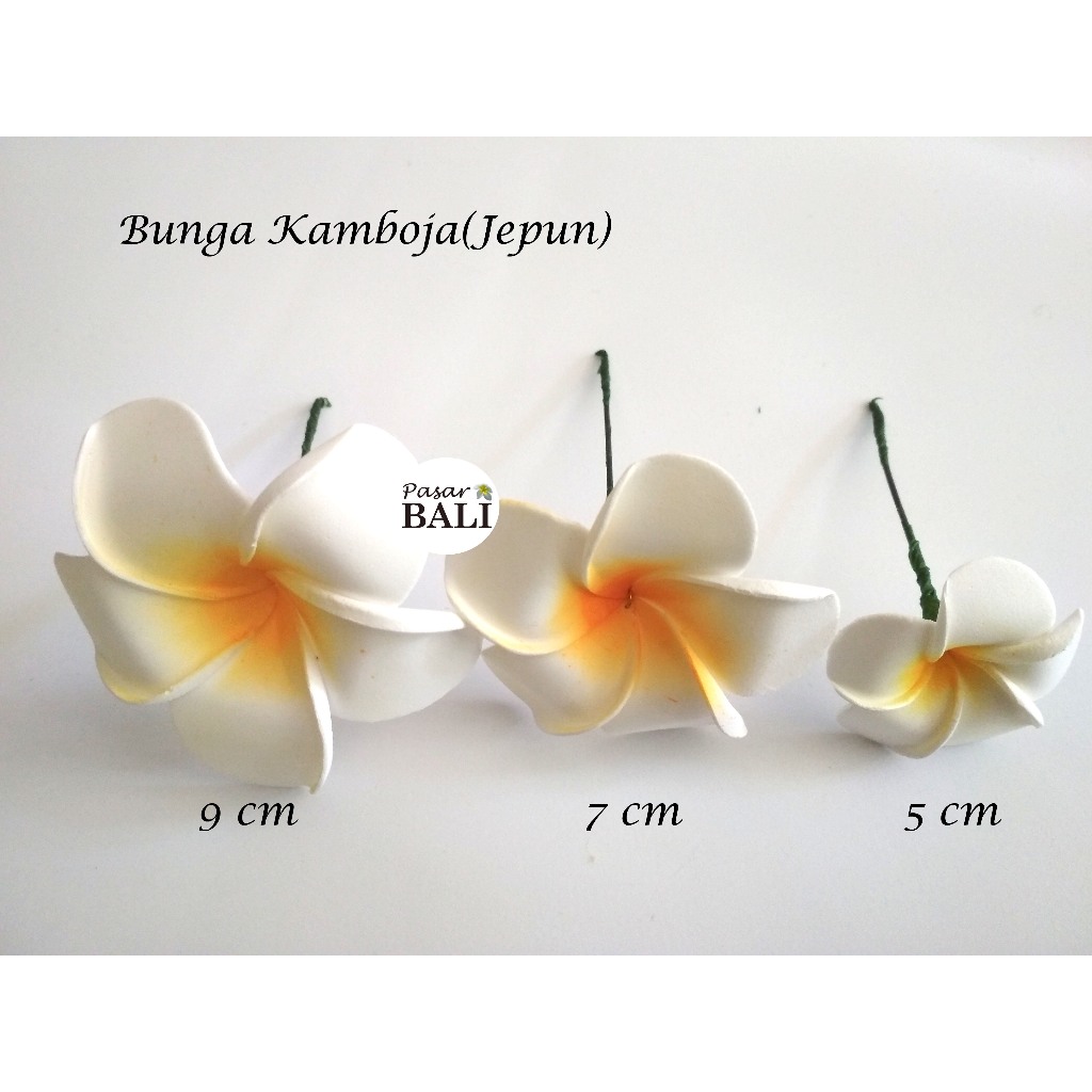 Jual Bunga Kamboja - Jepun Tangkai Satuan Bunga Khas Bali | Shopee ...