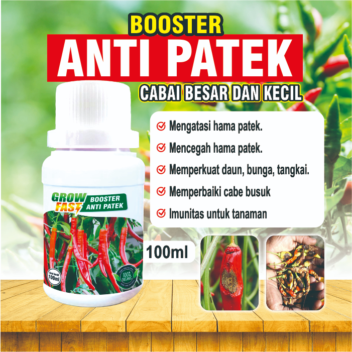Jual Pupuk Booster Anti Patek (100ml) I obat penyakit patek cabai I obat hama patek cabai ...