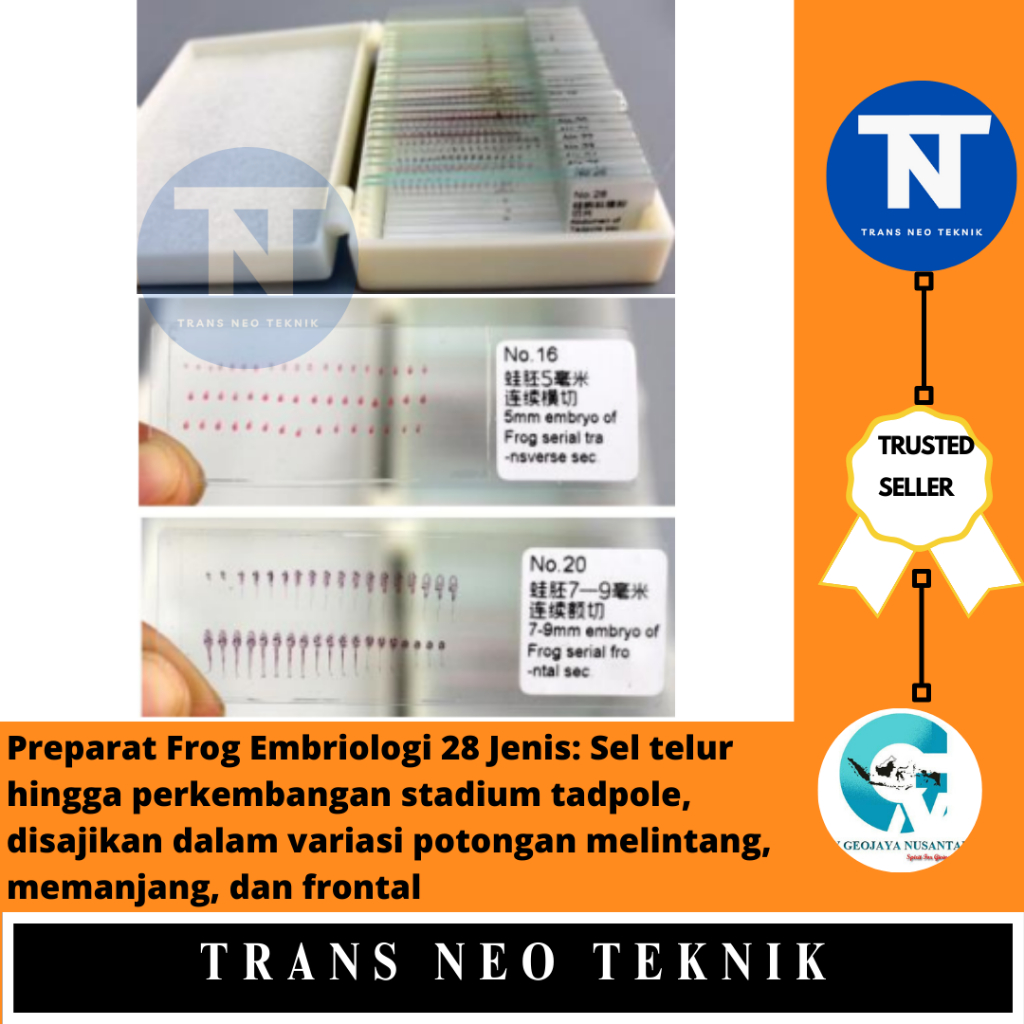 Jual Preparat Frog Embriologi 28 Jenis: Sel telur hingga perkembangan ...