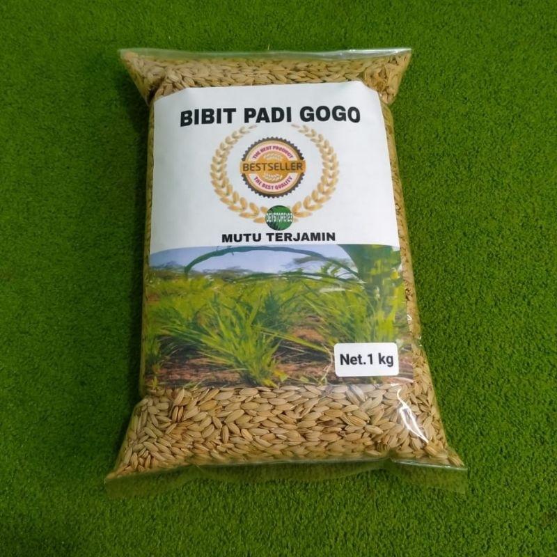 Jual Bibit Baru BENIH PADI GOGO KEMASAN 1 KG | Shopee Indonesia