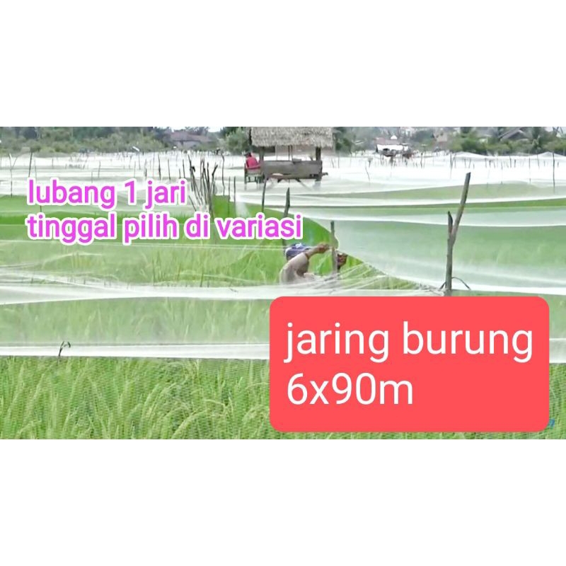 Jual JARING BURUNG JARING PADI JARING EMPRIT JARING SAWAH 6 x 90 METER JEBAKAN PERANGKAP BURUNG ...