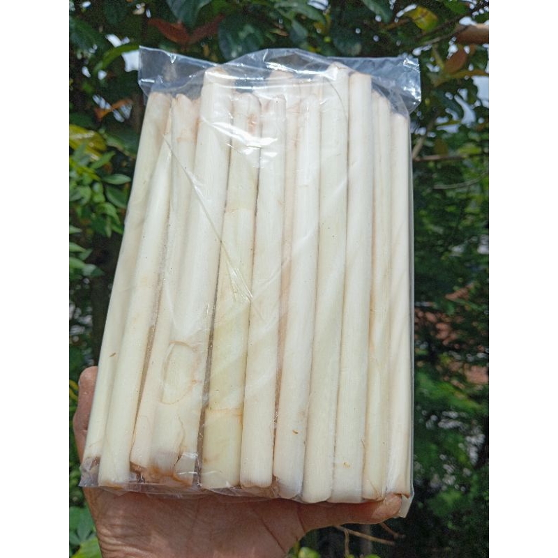 Jual [ COD ] BATANG HONJE/KECOMBRANG FRESH 1KG | Shopee Indonesia