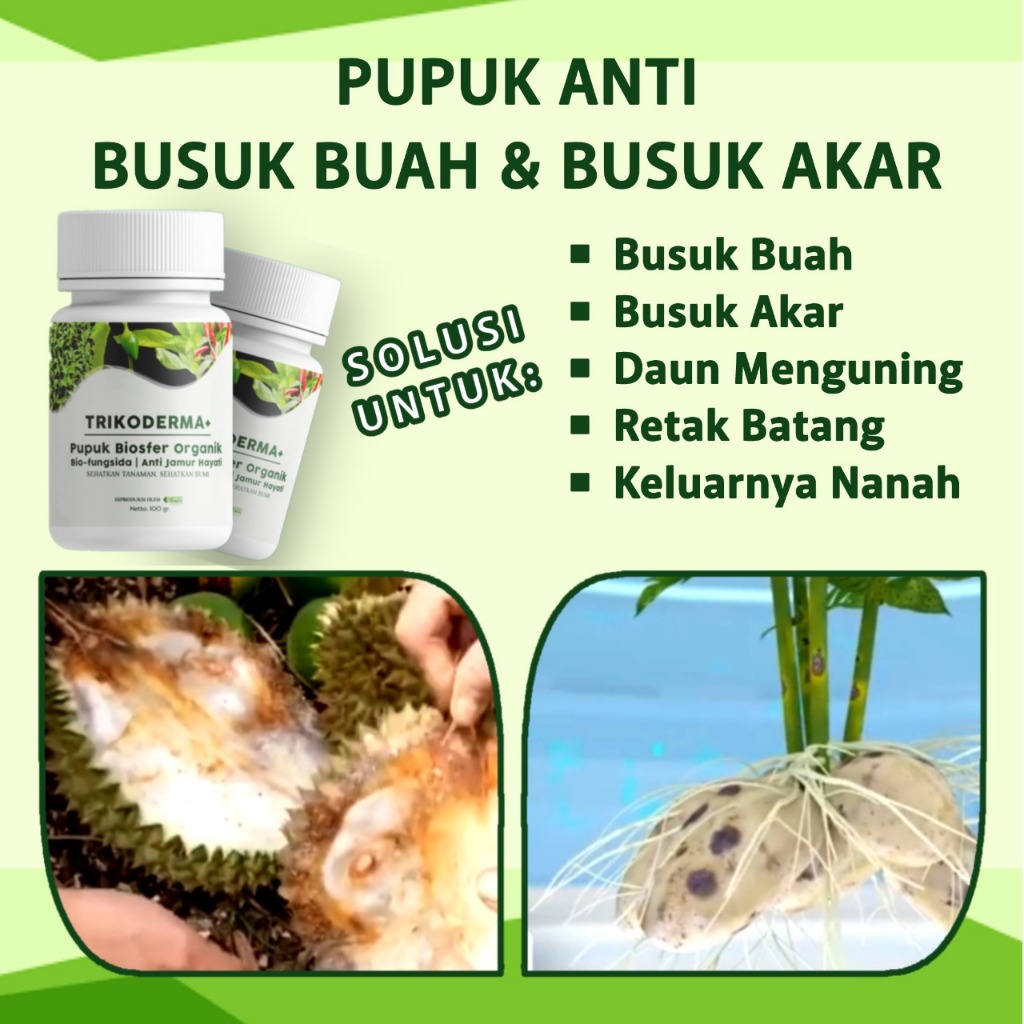 Jual ALFAGREEN-Tricoderma Harzianum Fungisida| TRICHODERMA Fungisida ...
