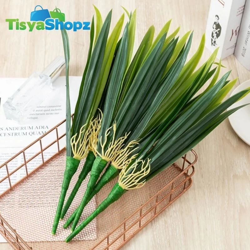Jual Daun Pandan Latex tinggi 30 cm | Shopee Indonesia