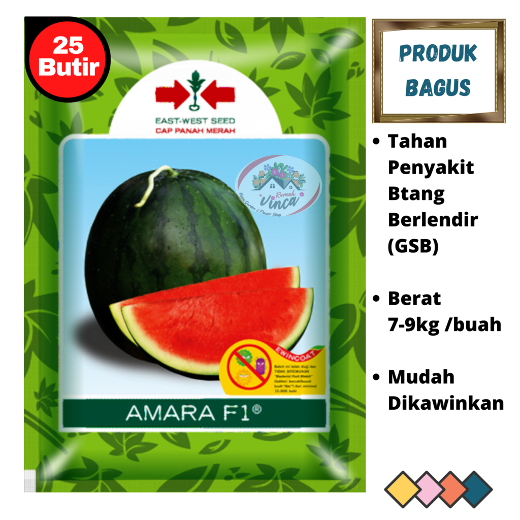 Jual BIBIT / BENIH SEMANGKA NON BIJI/SEEDLESS AMARA F1 25 BUTIR CAP PANAH MERAH | Shopee Indonesia