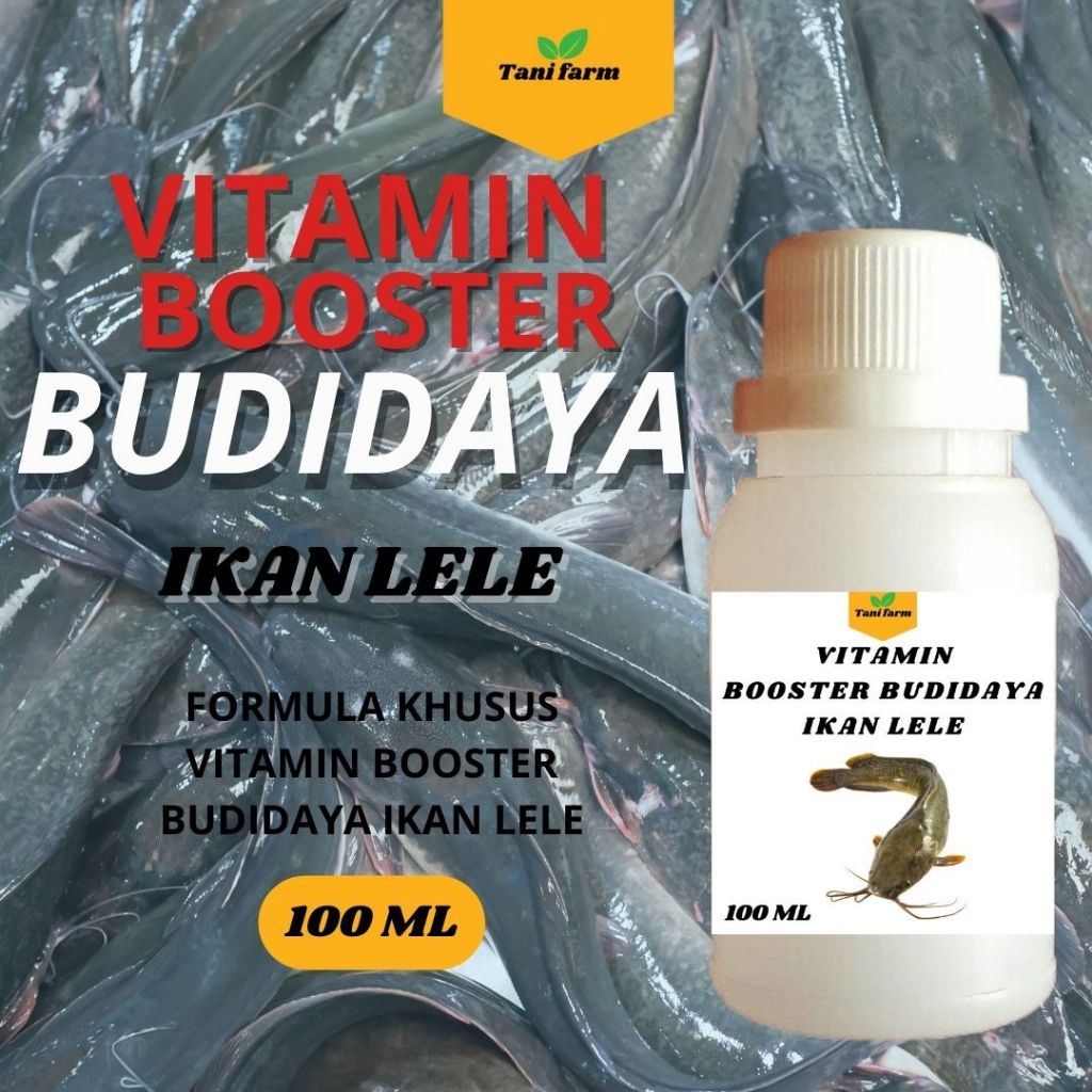 Jual Vitamin Ikan Lele Cair 100 ml Cepat Besar Pembesar Nafsu Makan Ikan Lele / Suplemen Obat ...