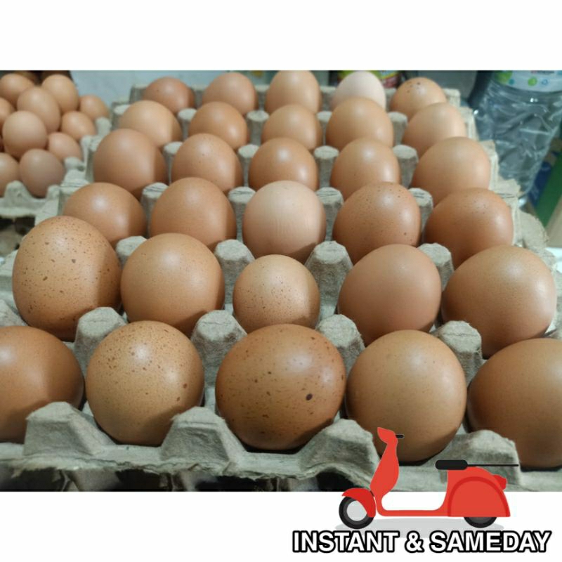 Jual TELUR AYAM NEGERI HARGA PER KILO - TELUR AYAM NEGERI 1KG | Shopee ...