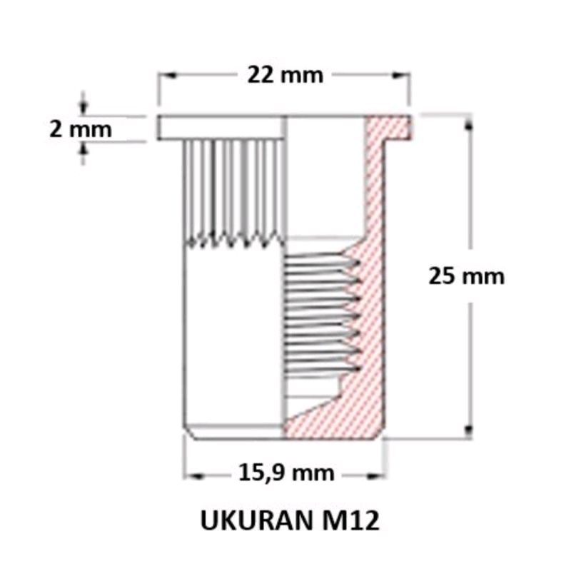 Jual RIVET NUT M12 MUR RIVET M 12 INSERT NUT M12 | Shopee Indonesia