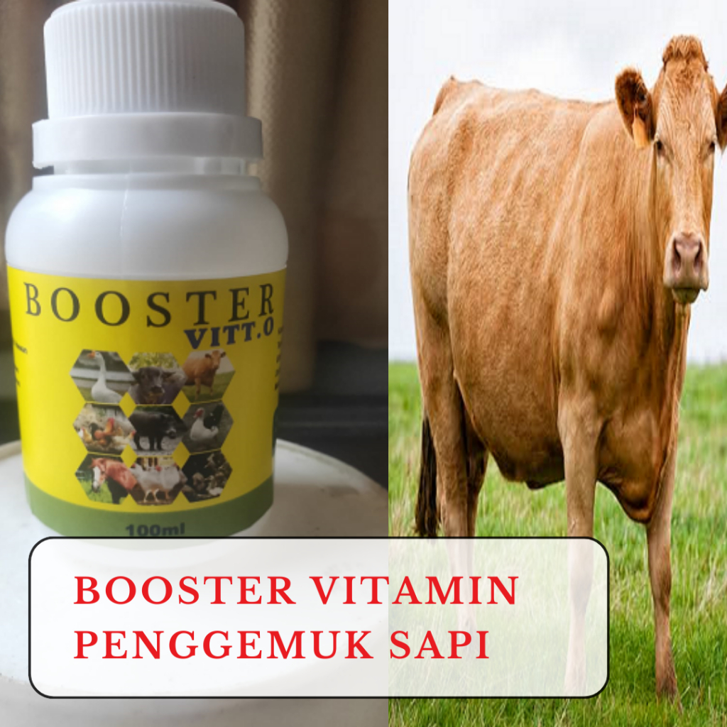 Jual Vitamin sapi dan kambing paling bagus biar lahap dan nafsu makan ...