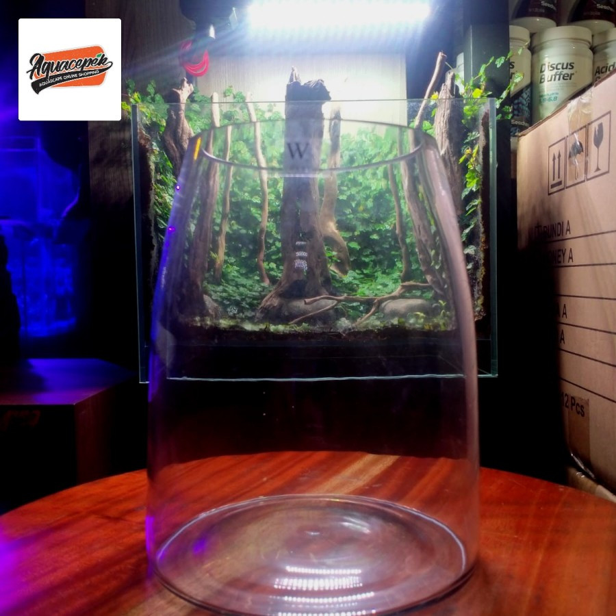 Jual DLX BULLETA A LITER AQUARIUM BULAT AQUASCAPE PALUDARIUM TERRARIUM ...