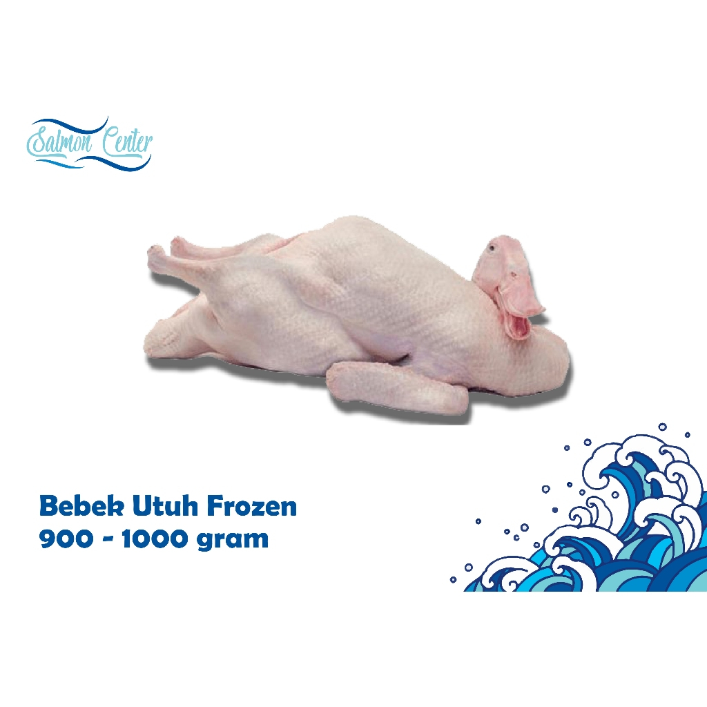 Jual Bebek Peking Frozen Utuh 1 Ekor 2,1kg - 2,2 kg | Shopee Indonesia