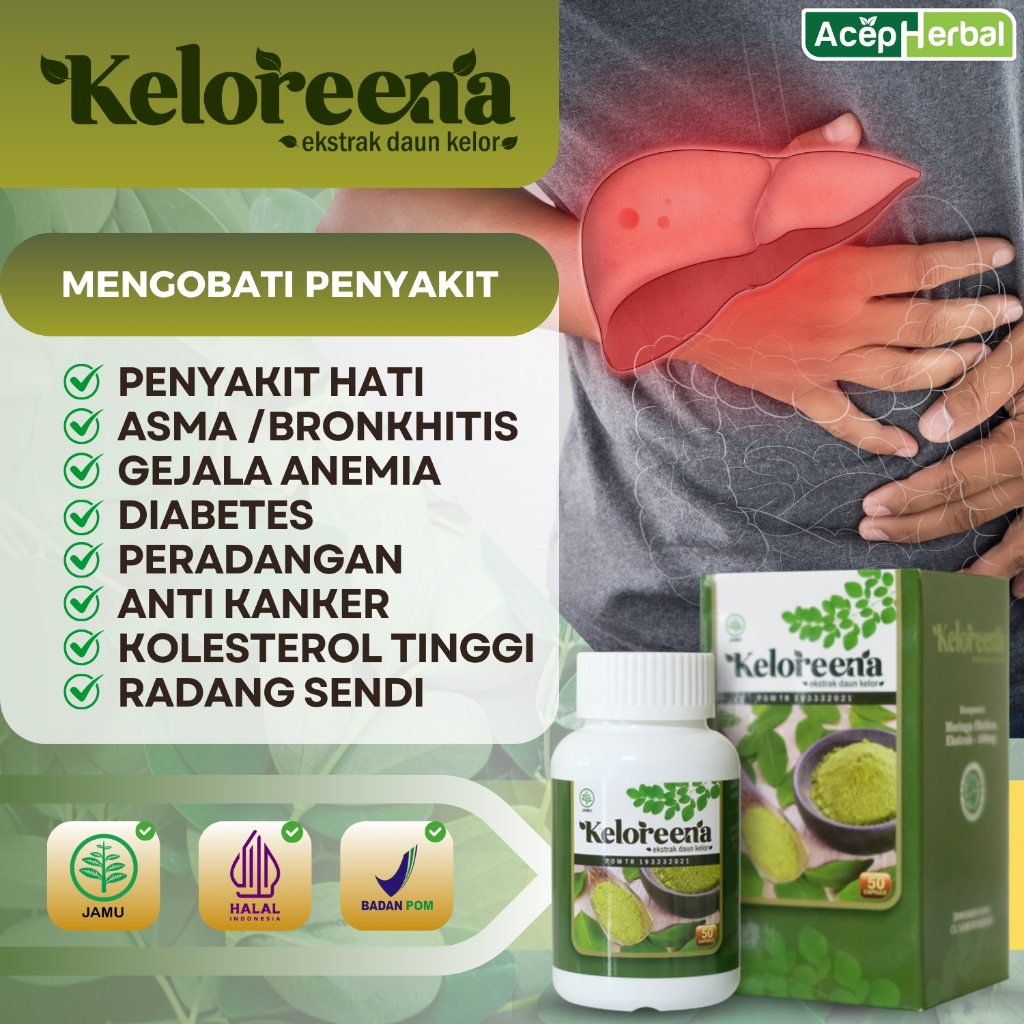 Jual Obat Penyakit Hati - Asma Bronkhitis Anemia Diabetes Peradangan ...