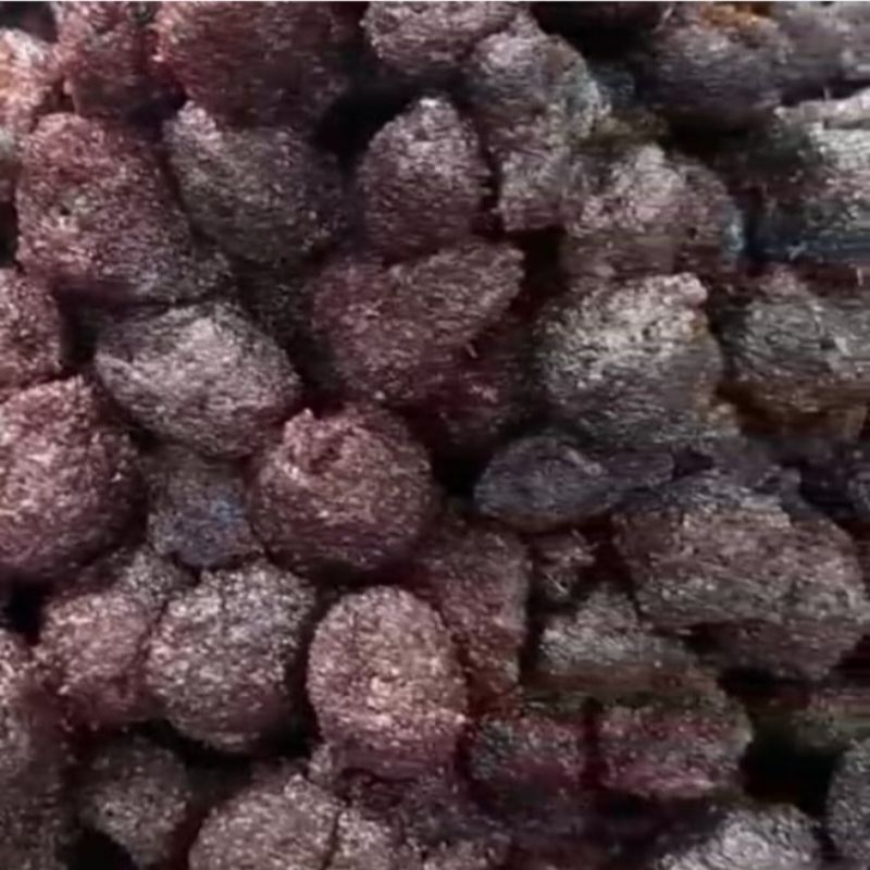 Jual Yangmei (Semboi bulu-bulu) | Shopee Indonesia