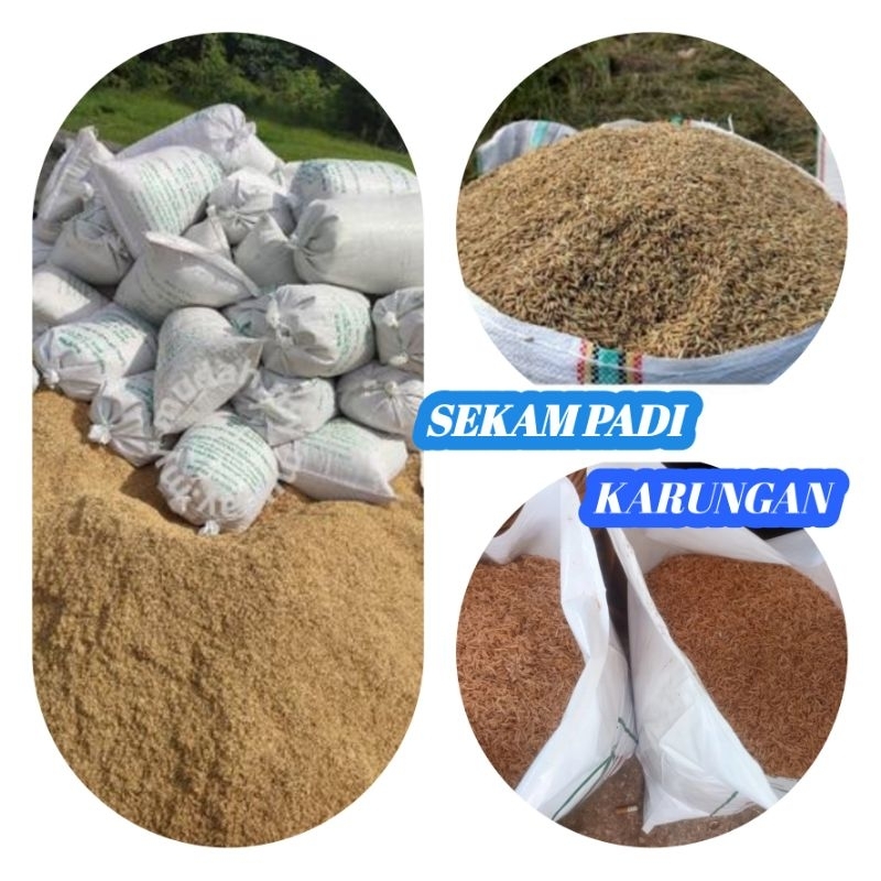 Jual SEKAM PADI | SEKAM MENTAH KARUNGAN BERAT 20 KILO | Shopee Indonesia