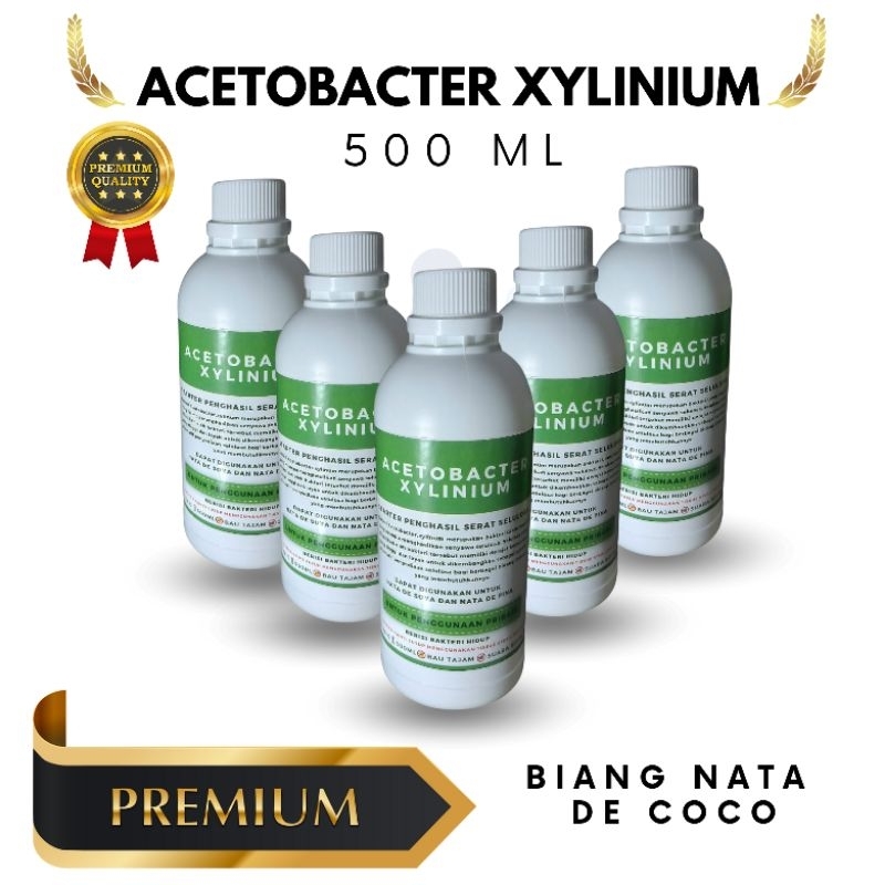Jual Starter 500 ml Bibit Starter PREMIUM Nata De Coco acetobacter ...
