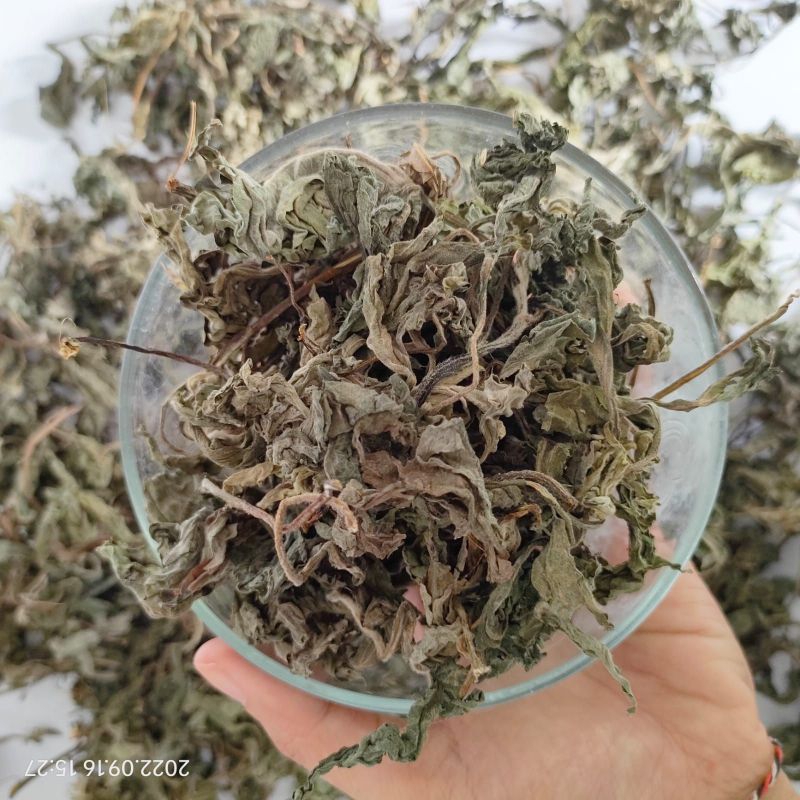 Jual Daun Insulin Kering /1 kg / Daun Insuline Premium / Obat diabetes ...