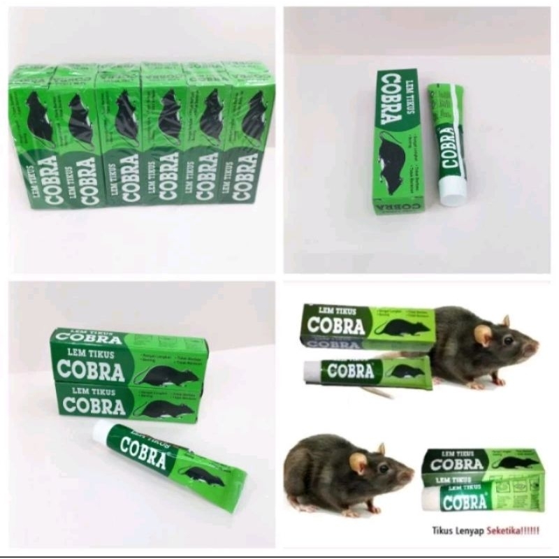 Jual LEM TIKUS COBRA/ PERANGKAP TIKUS LEM SUPER LENGKET | Shopee Indonesia