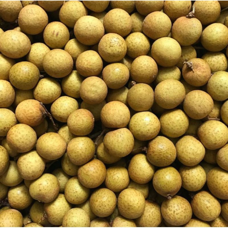 Jual Lengkeng madu | lengkeng gold | lengkeng manis | lengkeng bandung ...