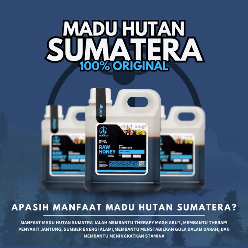 Jual Madu SB Murni Madu Hutan Sumatra 1 kg Murni | Shopee Indonesia