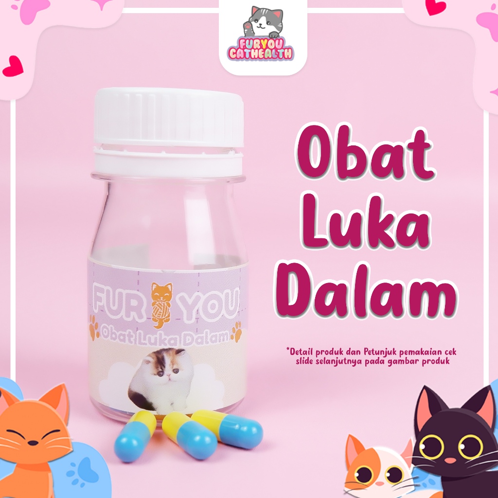 Jual Furyou Obat Luka Dalam untuk Anabul Keselo Pincang Jatuh Habis ...