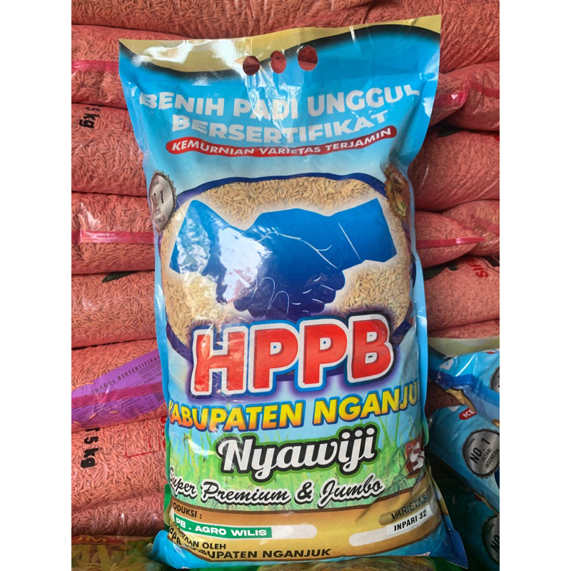 Jual Benih Padi Unggul Inpari 32 HPPB Nganjuk 5kg (agro wilis) | Shopee ...