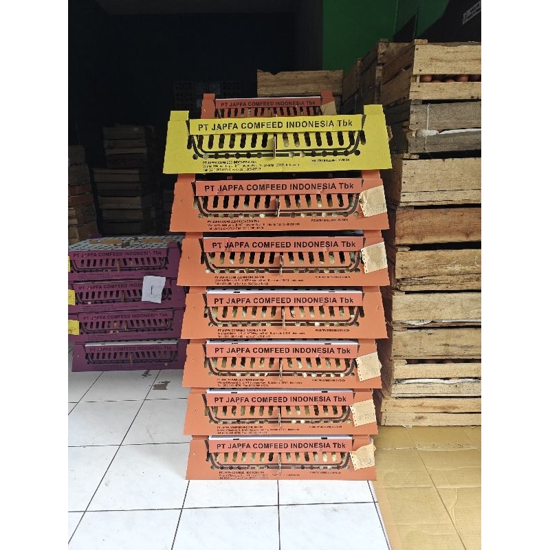 Jual DOC PLATINUM LAYER BROILER PEJANTAN KUB | Shopee Indonesia