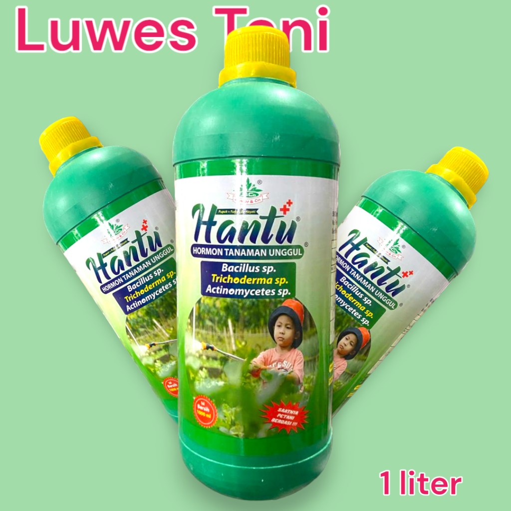 Jual Pupuk Hantu Trichoderma 1 liter Biofungisida Pencegah Busuk Akar ...