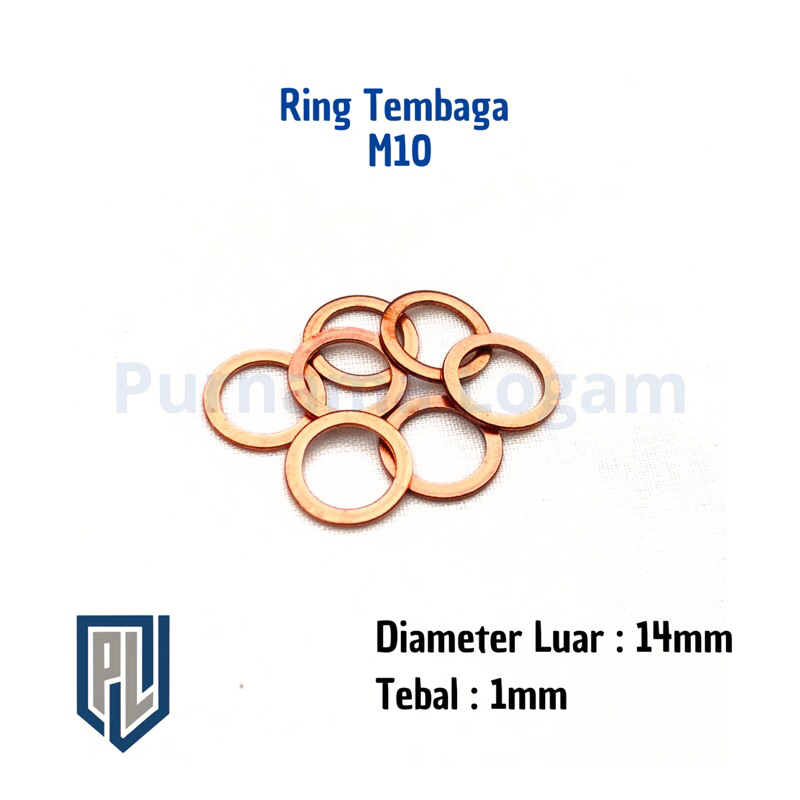 Jual Ring Tembaga m10 Ring Baut Nepel Selang Cakram DSB | Shopee Indonesia