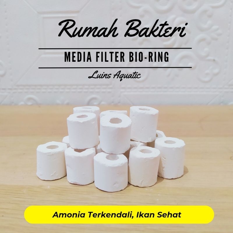 Jual BioRing Bio Ceramic Ring Keramik Filtrasi biologis biologi Media ...