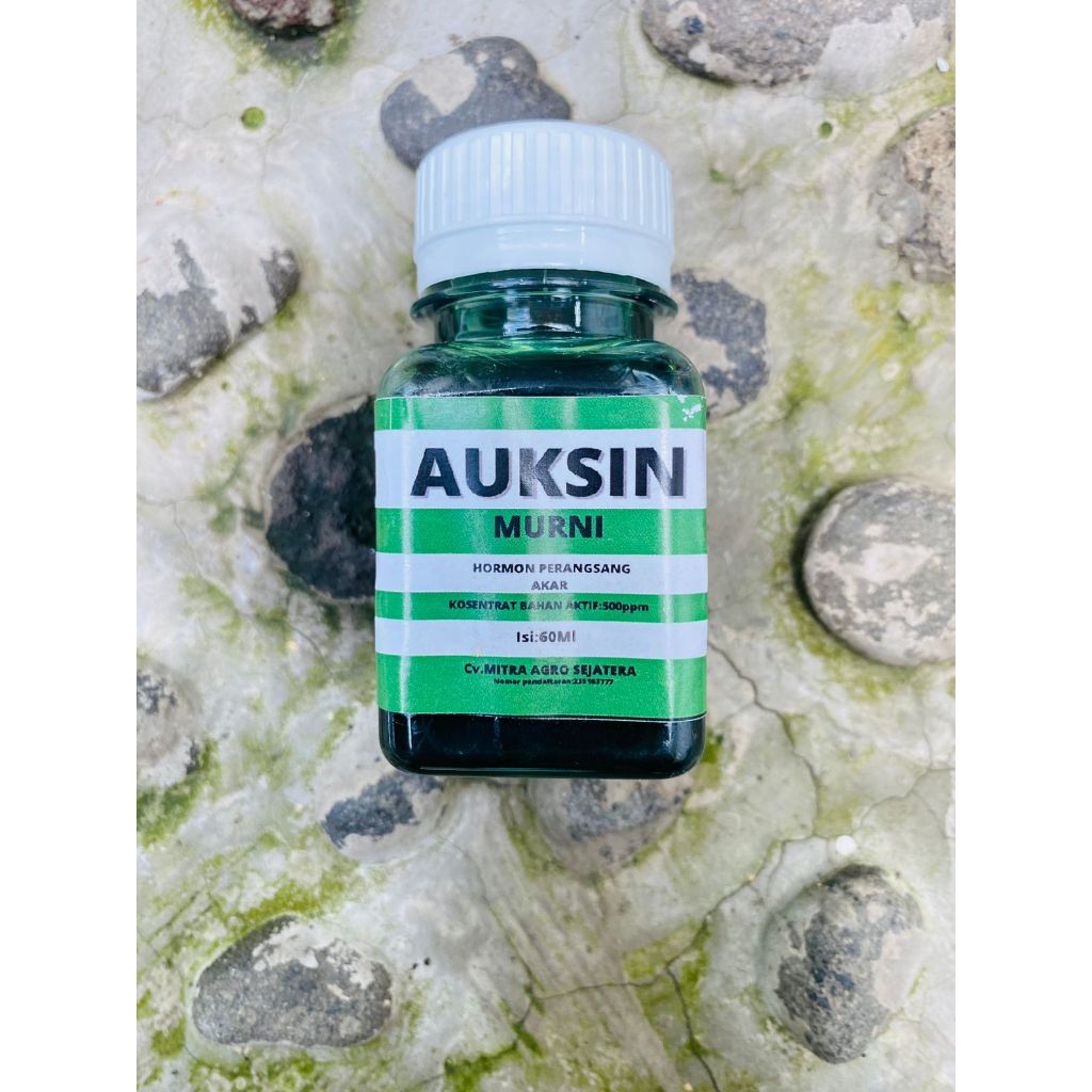 Jual Hormon Untuk Pertumbuhan Akar AUKSIN Murni dari MAS isi 60 ml ...