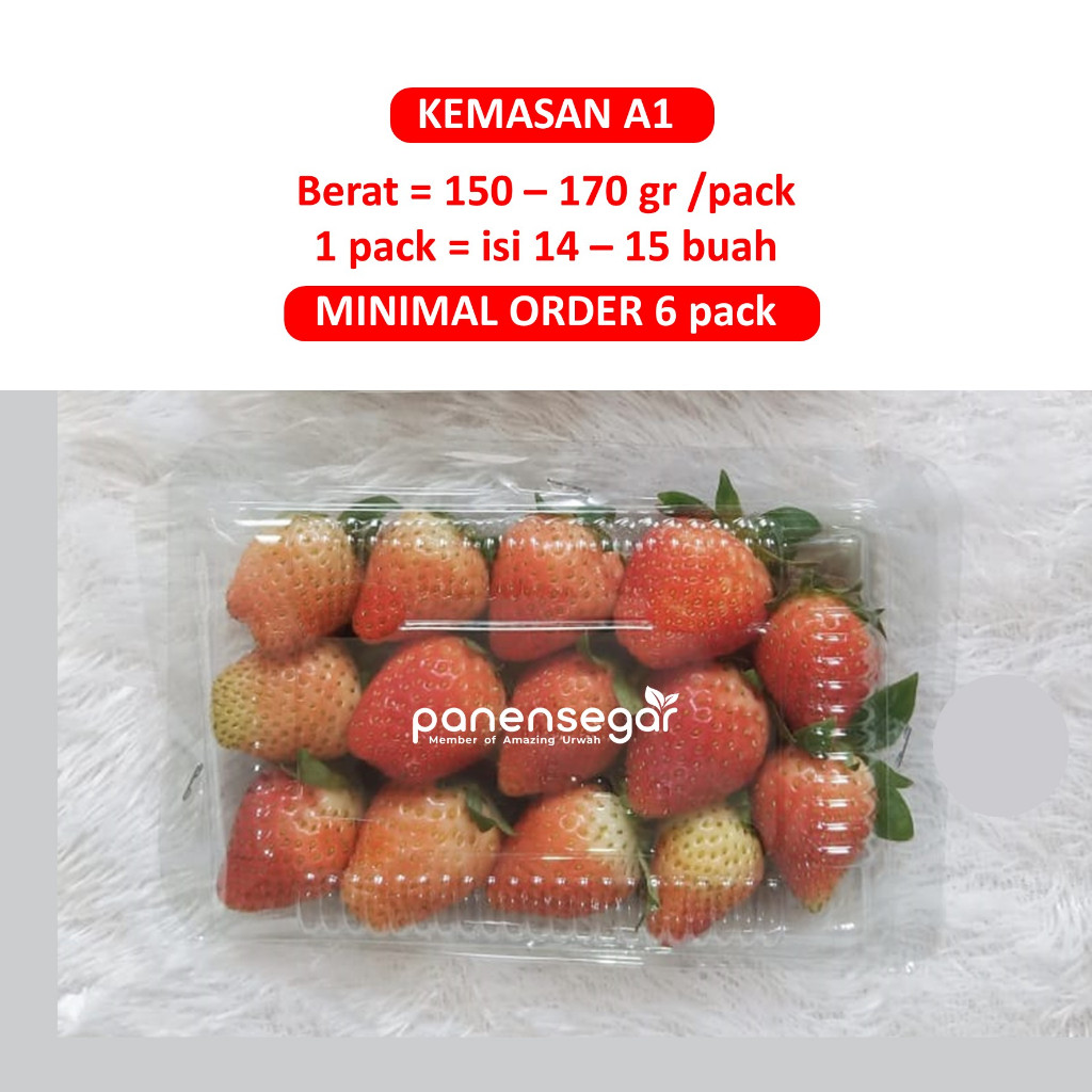 Jual Strawberry Fresh 1kg Premium Jumbo Panensegar Stroberi Segar ...