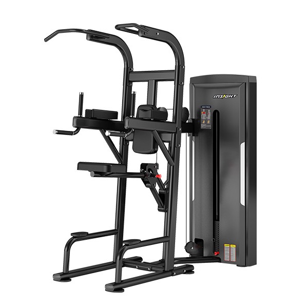 Jual Insight Dip Chin Machine SA008E Easy Chin/Dip Fitness Gym ...