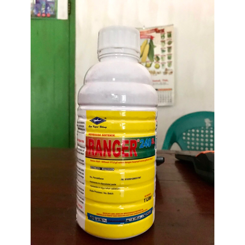 Jual RANGER 240 SL HERBISIDA SISTEMIK 1L | Shopee Indonesia