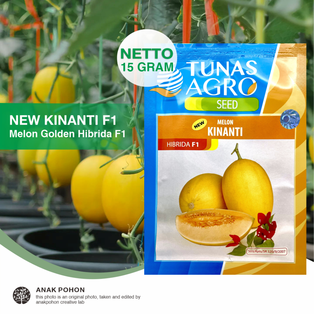 Jual (1 PACK) Benih Melon New Kinanti Hibrida F1 Seeds - Tunas Agro Seed - 15 GRAM | Shopee ...