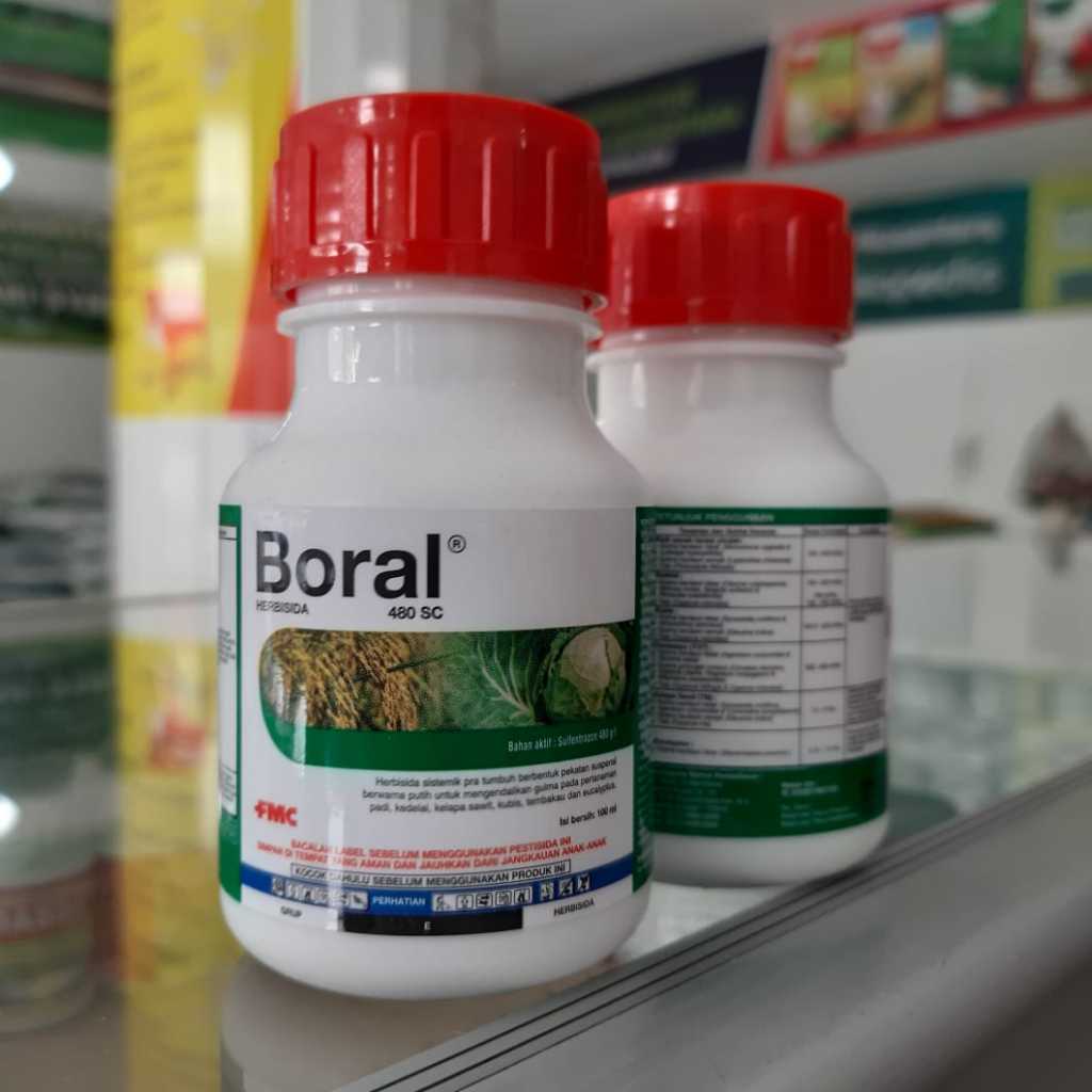 Jual BORAL 480SC 100ml Herbisida Sistemik Pra Tumbuh | Shopee Indonesia