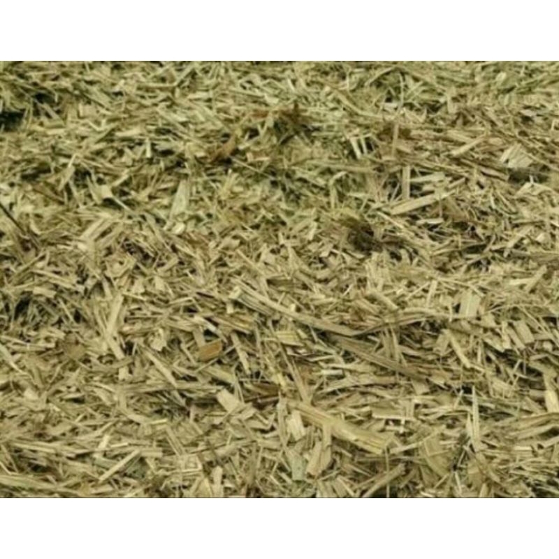 Jual Daun Tebu Manis kering 1kg | Shopee Indonesia